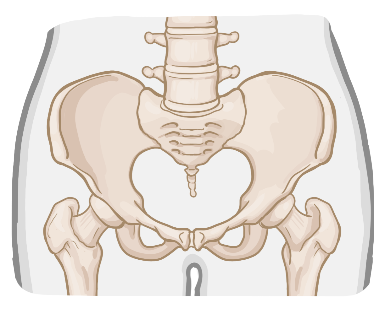 Diagnosing pelvis somatic dysfunction | Osmosis