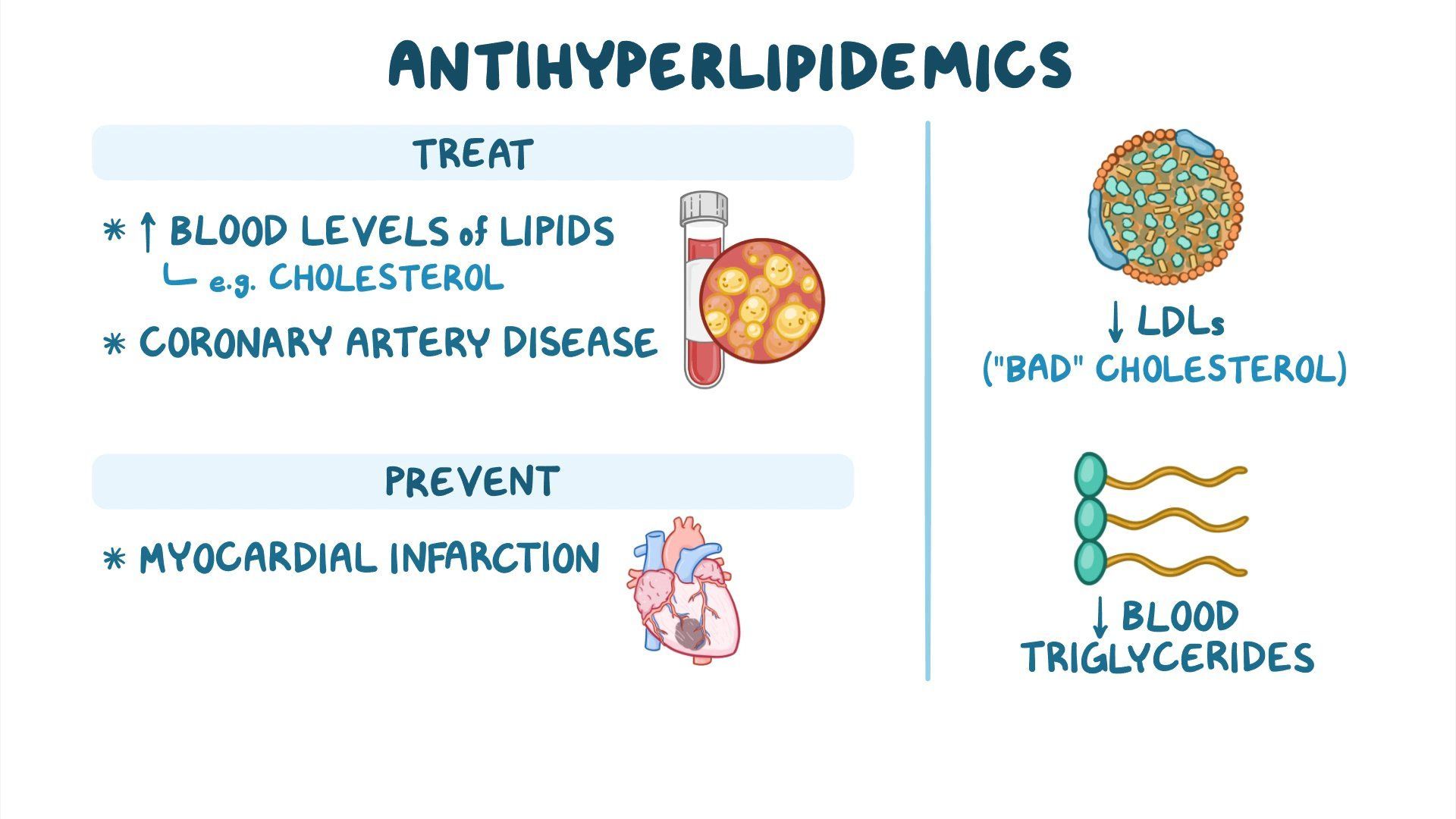Video: Antihyperlipidemics - Statins: Nursing pharmacology | Osmosis