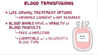 Alloimmunization: What Is It, Causes, Treatment, and More | Osmosis