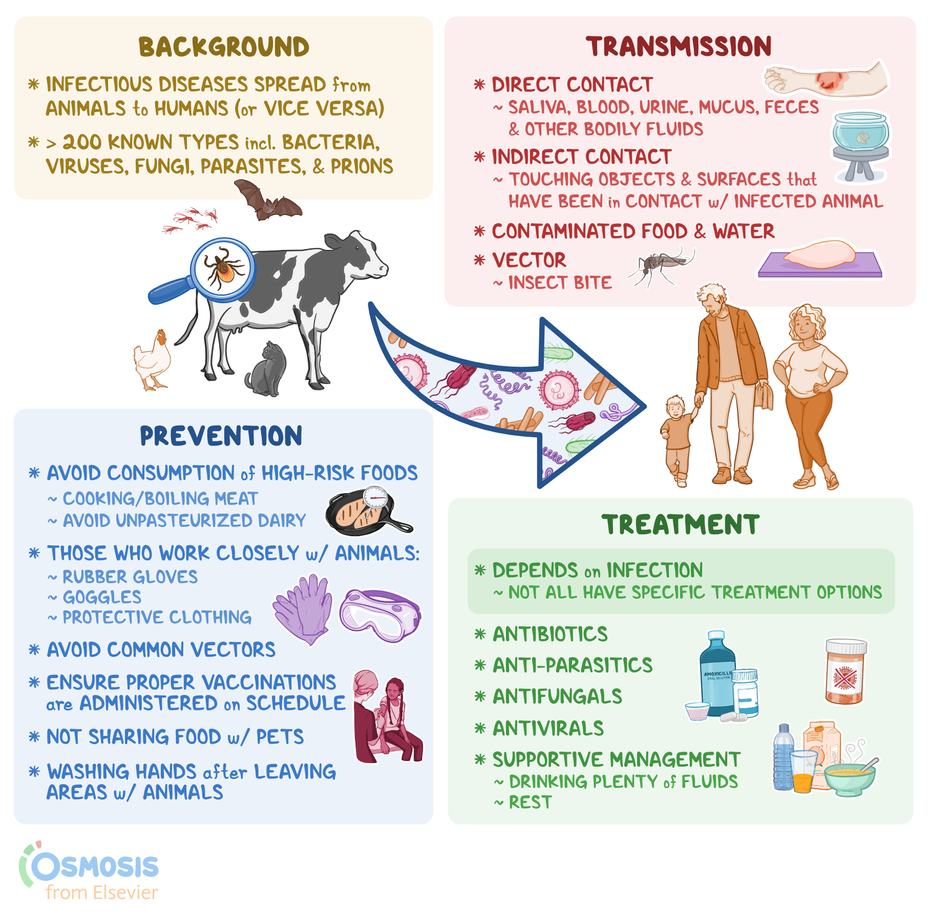 Zoonotic Diseases: What Are They, Symptoms, Prevention, and More | Osmosis