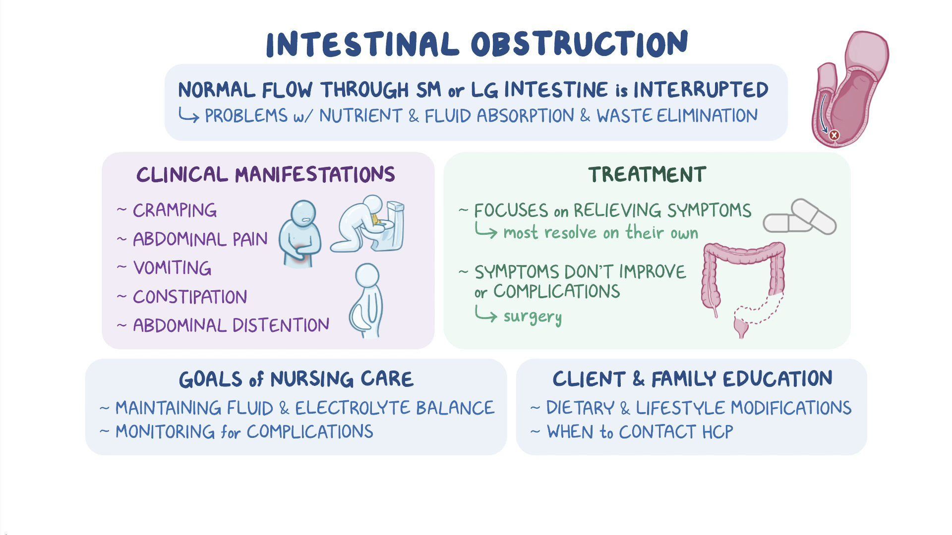 Video Intestinal Obstruction Nursing Osmosis