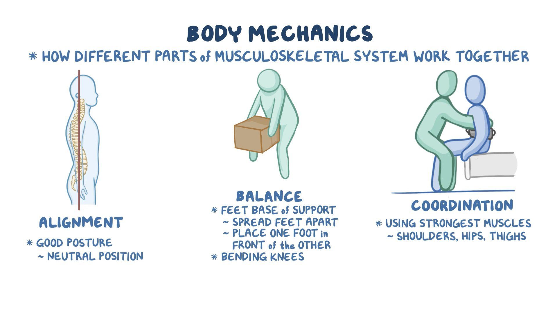 Video: Workplace safety: Body mechanics | Osmosis