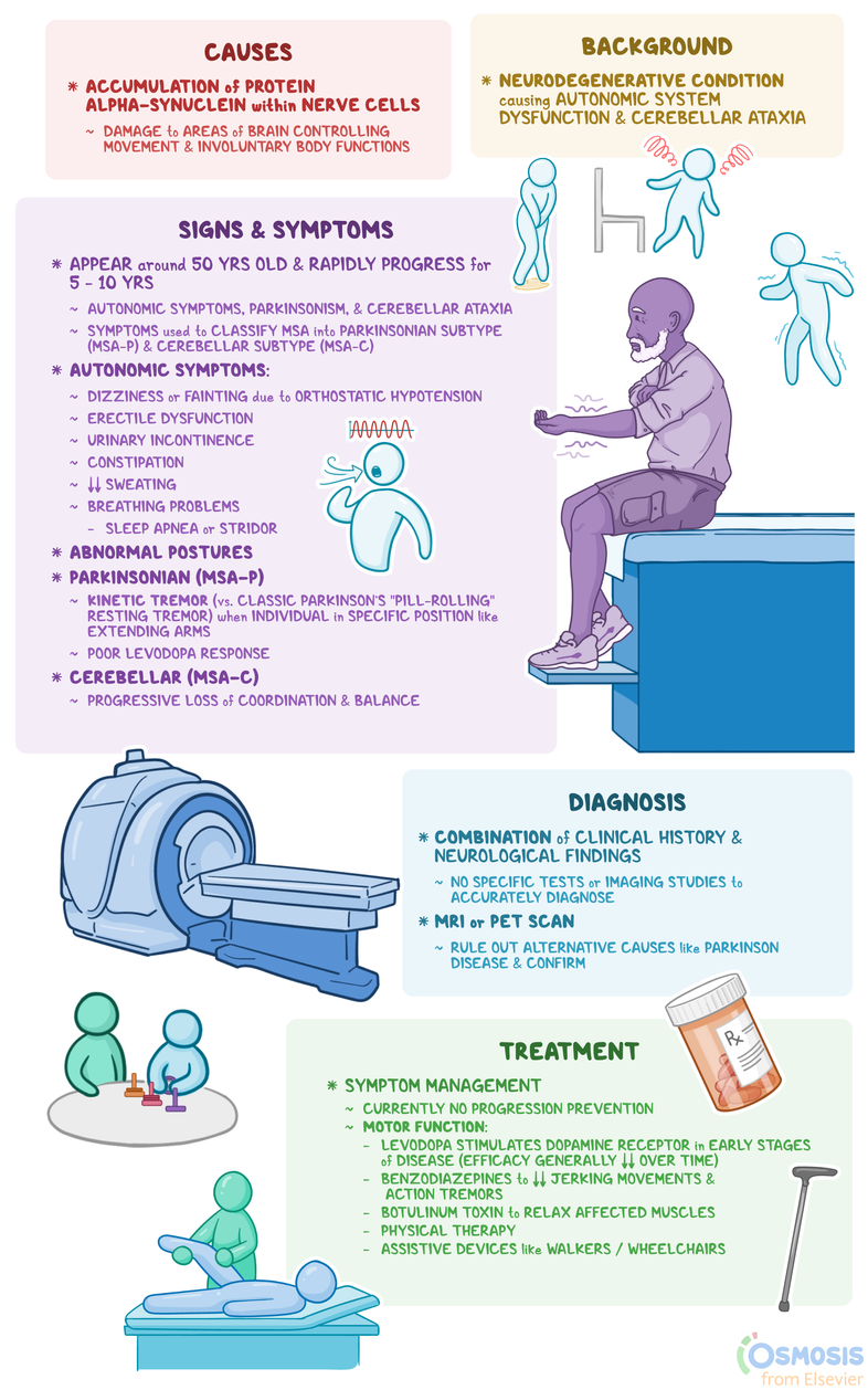 Multiple System Atrophy: What Is It, Causes, Symptoms, and More | Osmosis