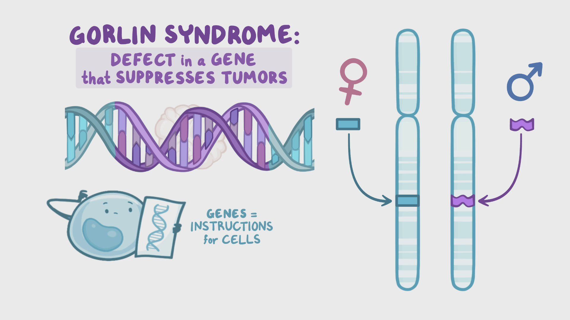 Video: Gorlin syndrome: Year of the Zebra | Osmosis
