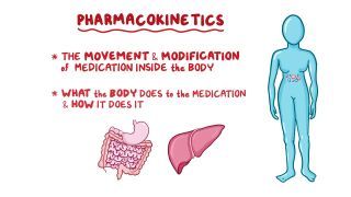 Peaks and Troughs: What Are They, and More | Osmosis