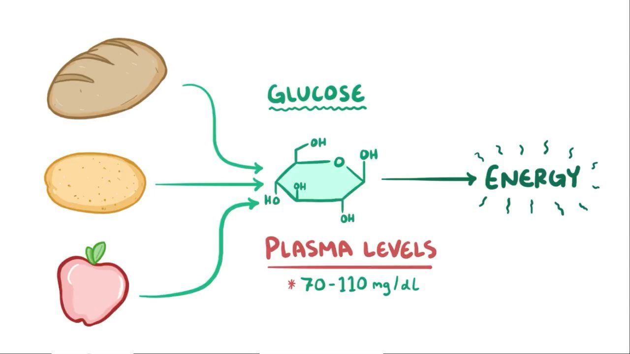 Video: Tubular reabsorption of glucose | Osmosis