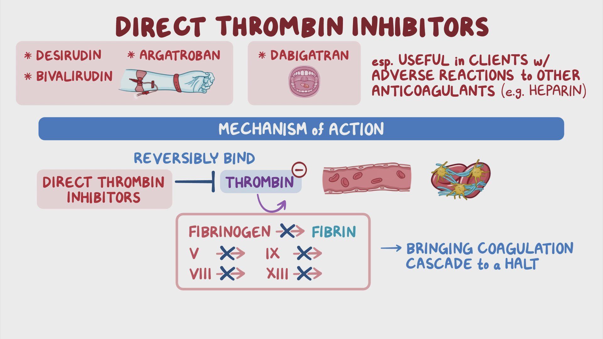 Video: Anticoagulants - Direct thrombin and factor Xa inhibitors ...