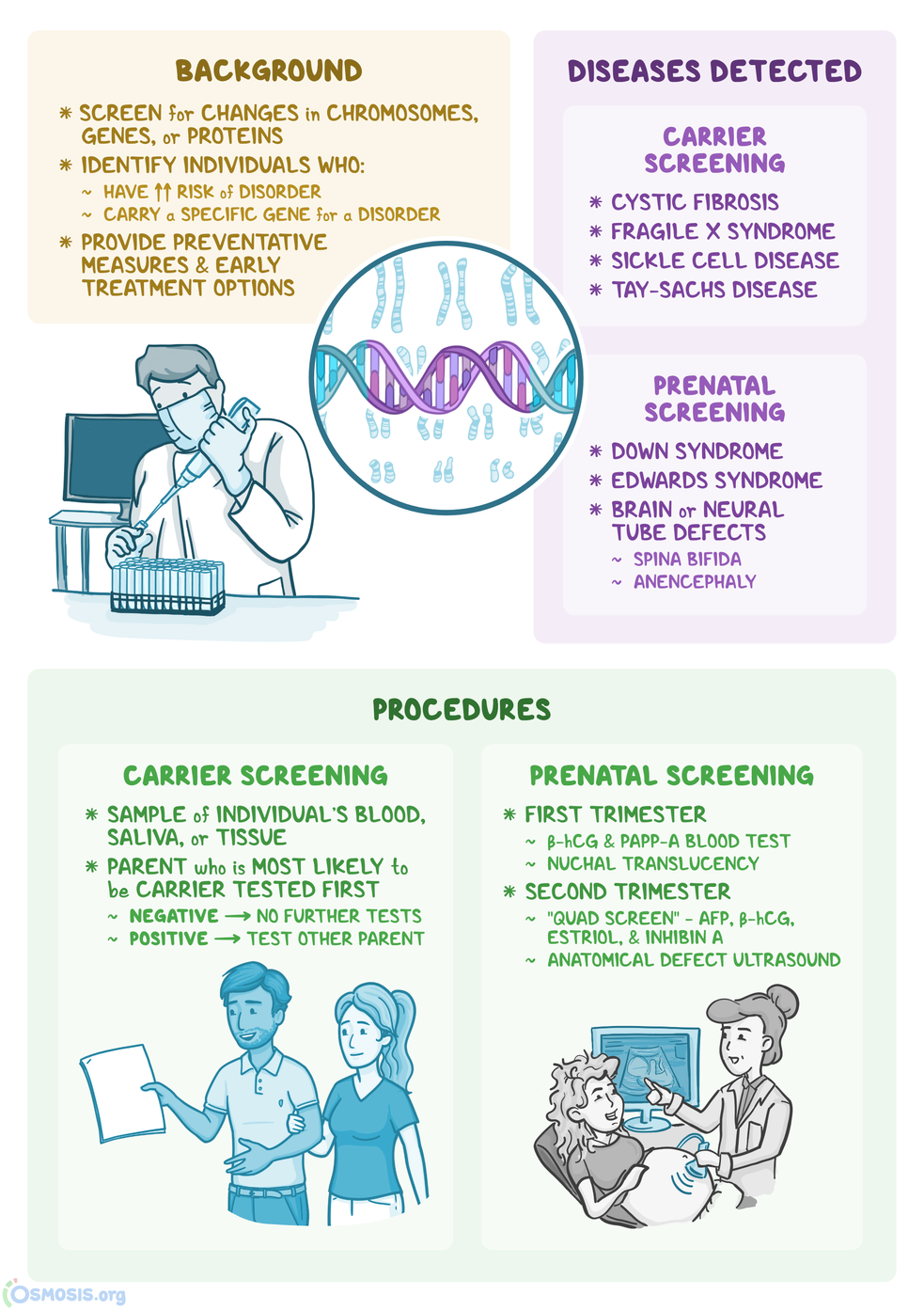Genetic Screening: What Is It, Screenings, and More | Osmosis