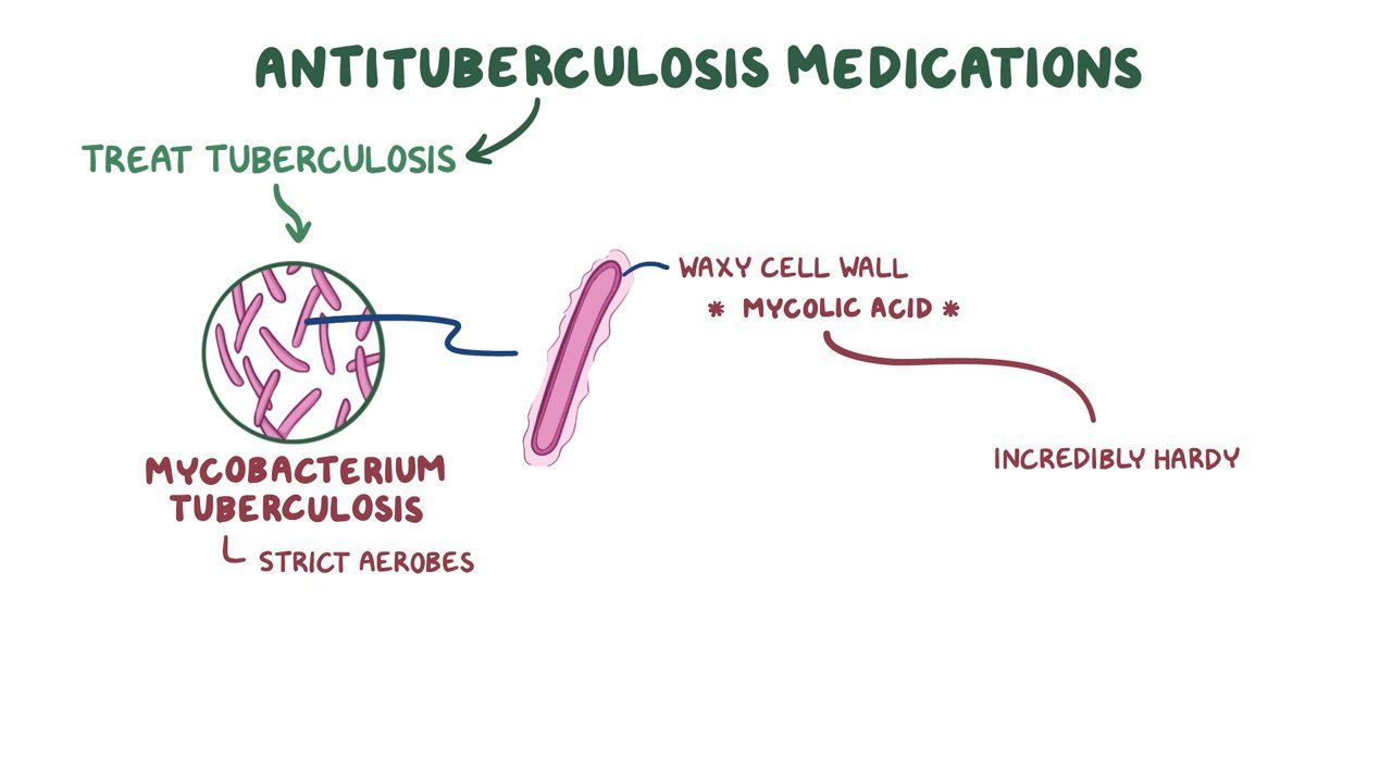 Video: Antituberculosis medications | Osmosis