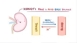 AEIOU: Indications for Urgent Hemodialysis Mnemonic | Osmosis