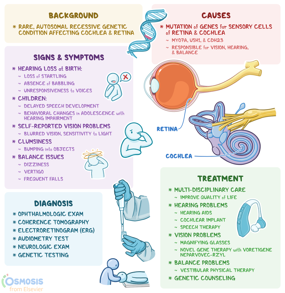 Usher Syndrome: What It Is, Causes, Signs and Symptoms, Treatment | Osmosis
