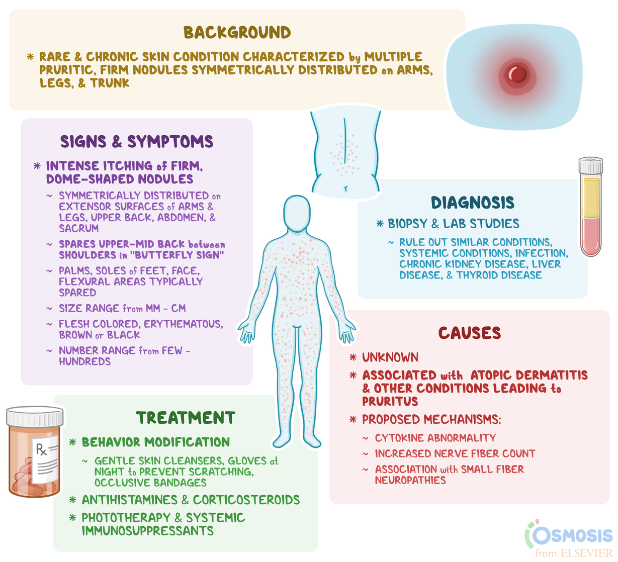 Prurigo What Is It Causes Signs Symptoms And More Osmosis Prurigo What Is It Causes Signs Symptoms And More Osmosis
