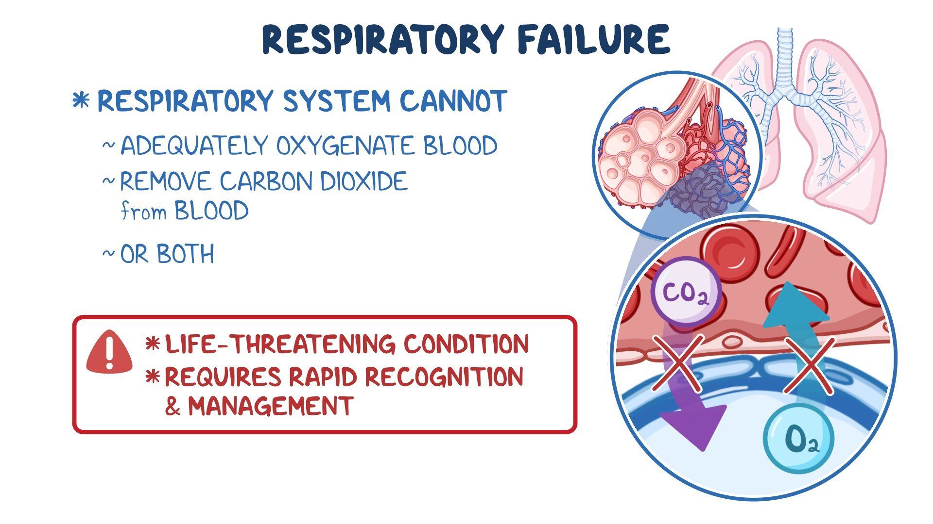 Video: Respiratory failure (pediatrics): Clinical sciences | Osmosis