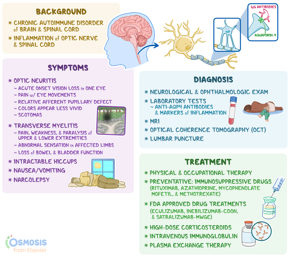 Neuromyelitis Optica: What Is It, Causes, Diagnosis, and More | Osmosis