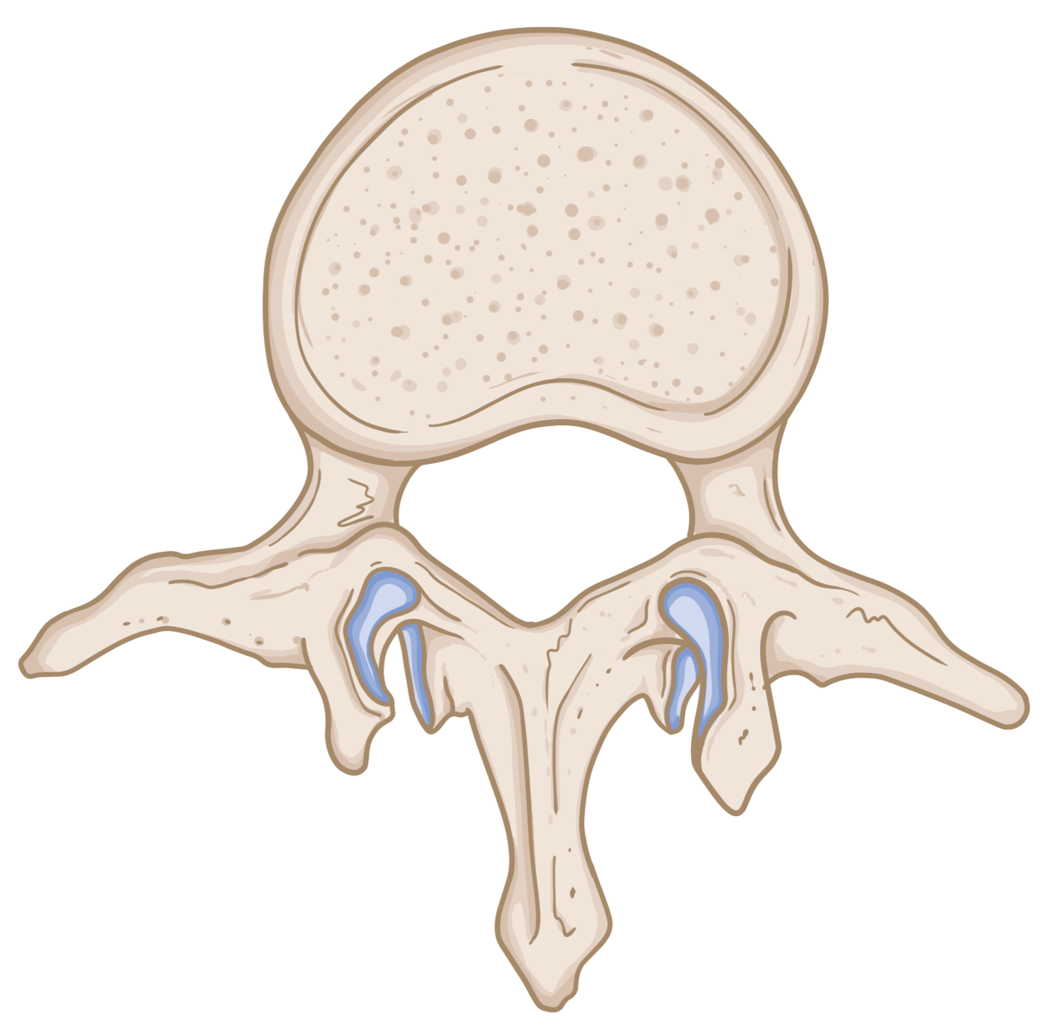 Lumbar spine counterstrain | Osmosis