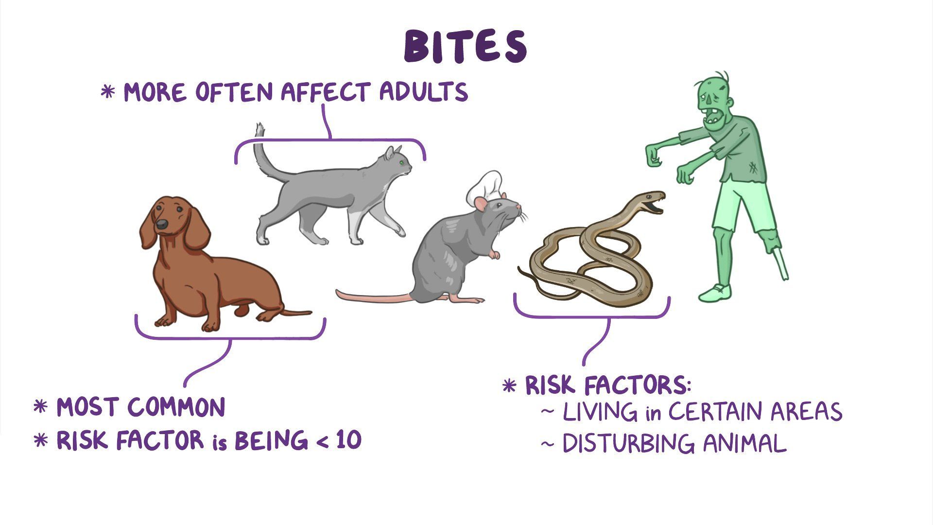 Video Animal And Snake Bites Nursing Video Animal And Snake Bites Nursing