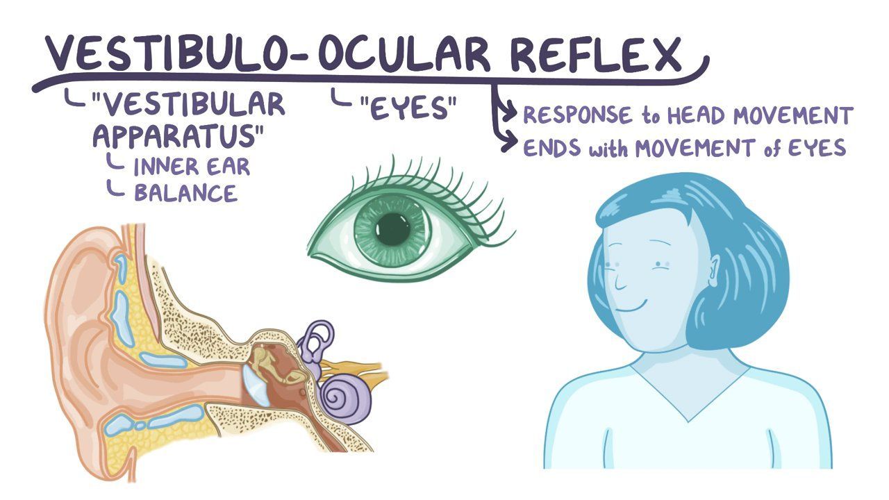 Vestibulo ocular Reflex And Nystagmus Osmosis Vestibulo ocular Reflex And Nystagmus Osmosis