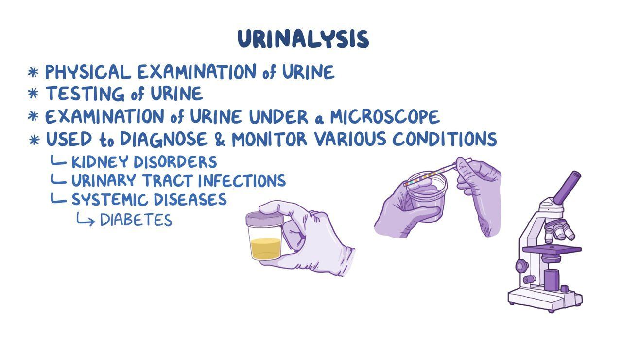 Video: Genitourinary: Collecting a urine specimen (for nursing ...