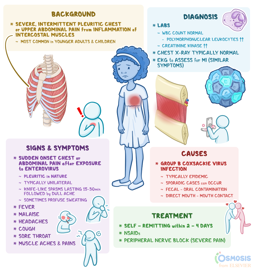 Pleurodynia What Is It Causes Symptoms And More Osmosis