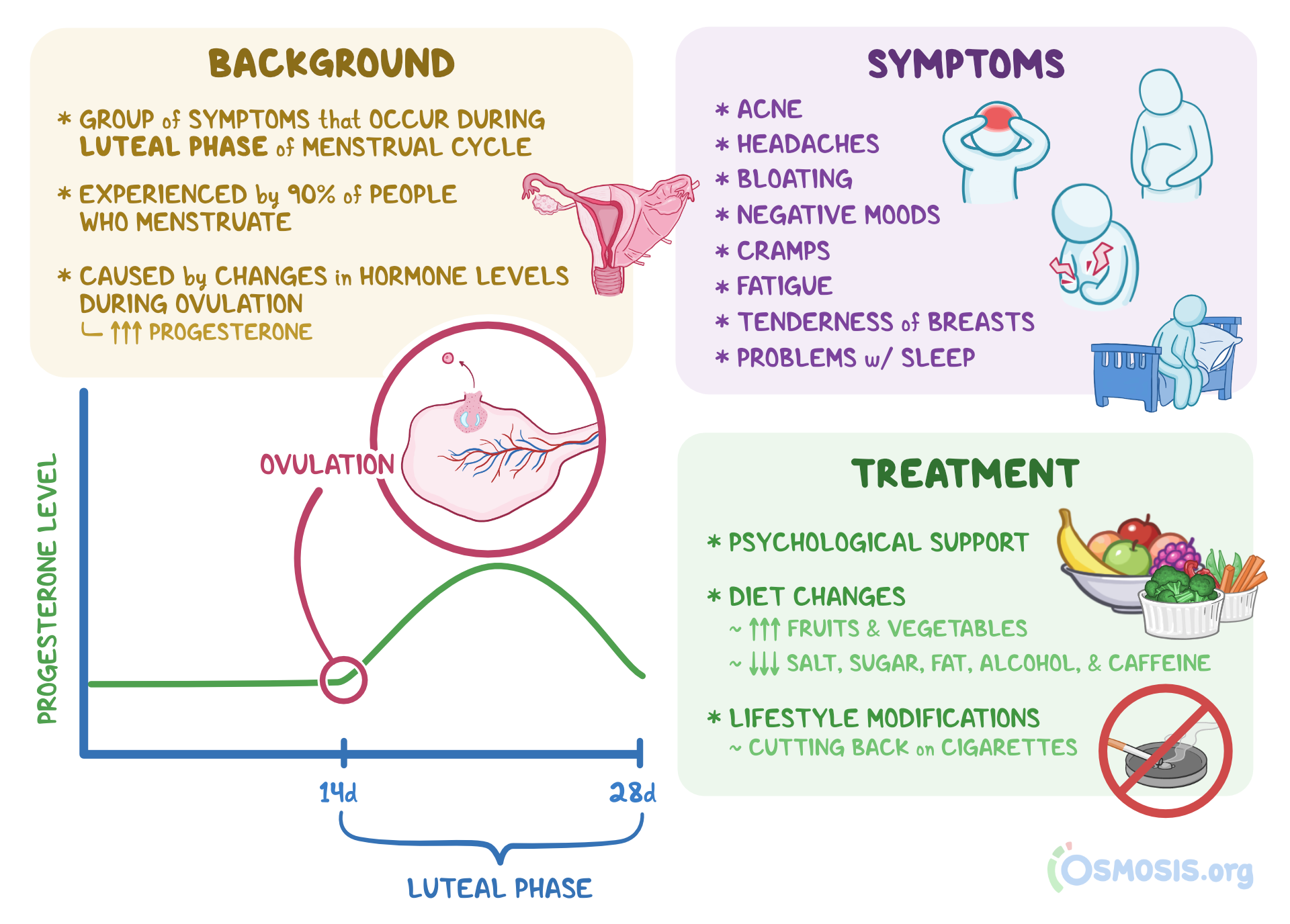 Molimina: What Is It, Causes, Symptoms, and More | Osmosis