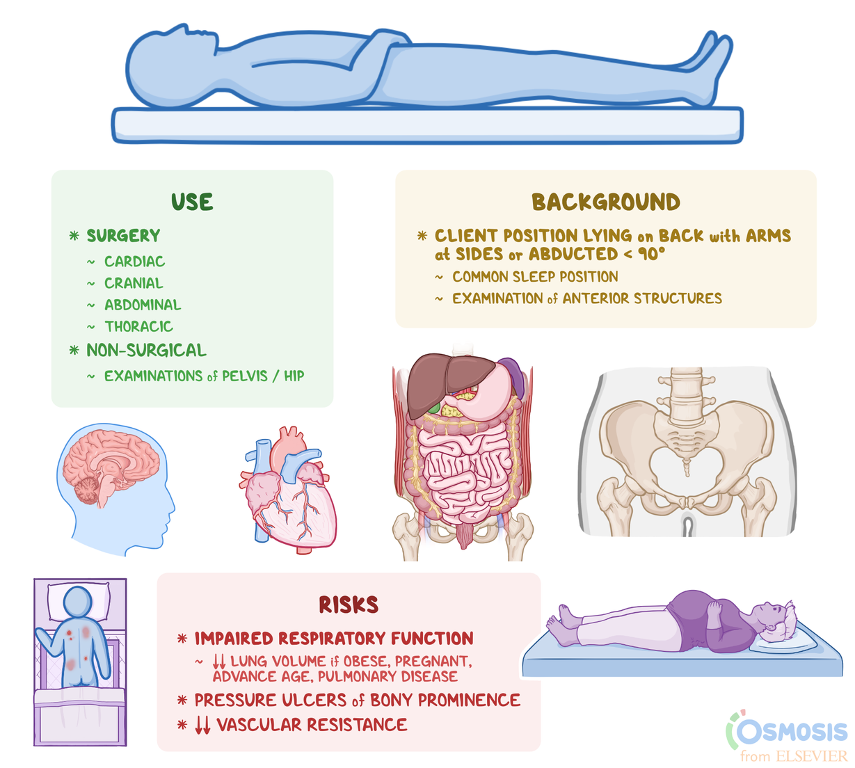 Supine Position What Is It Uses And More