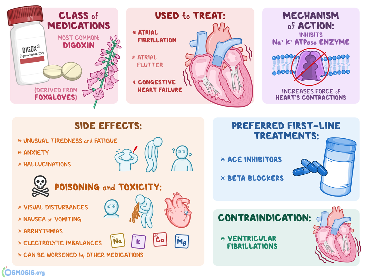Cardiac Glycosides What Are They What Are They Used For How Do They