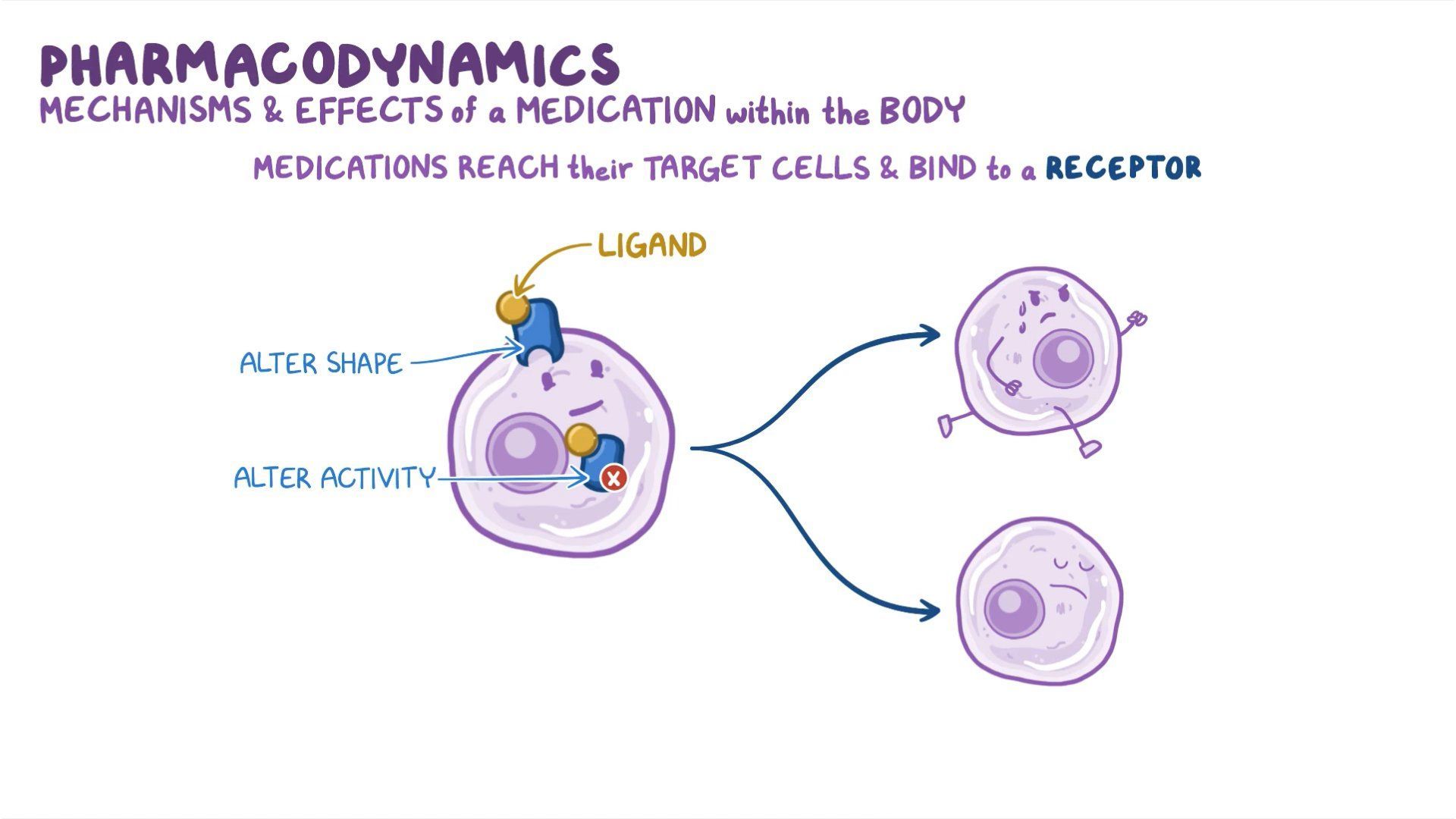Video: Pharmacodynamics: Nursing pharmacology | Osmosis