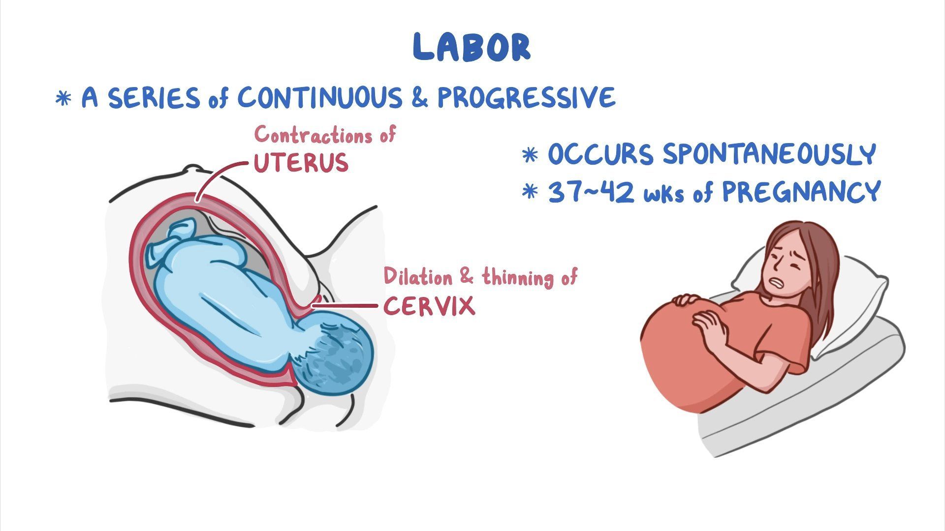 Video: Nursing Care of the Family During Labor and Birth