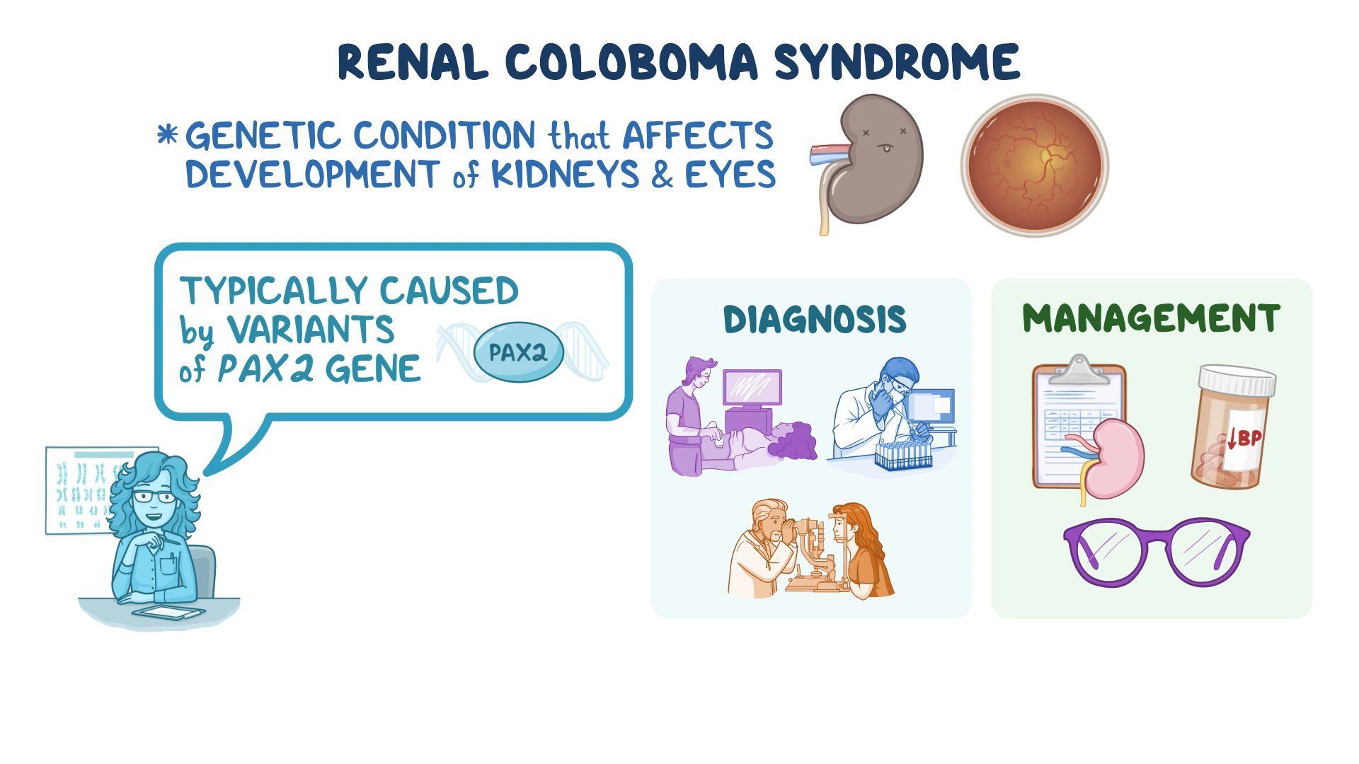 Video: Renal coloboma syndrome: Year of the Zebra 2025 | Osmosis