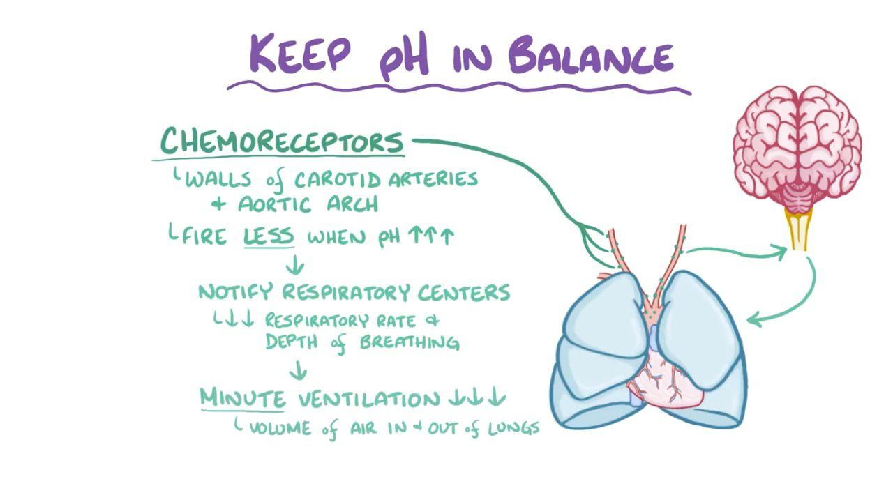 Metabolic Alkalosis