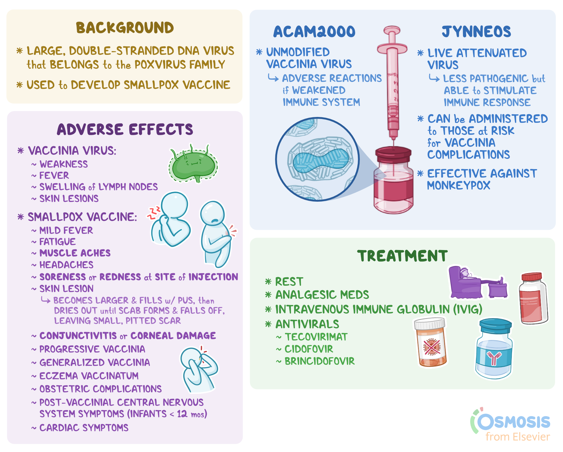 Vaccinia Virus: What Is It, Vaccines, Side Effects, and More | Osmosis
