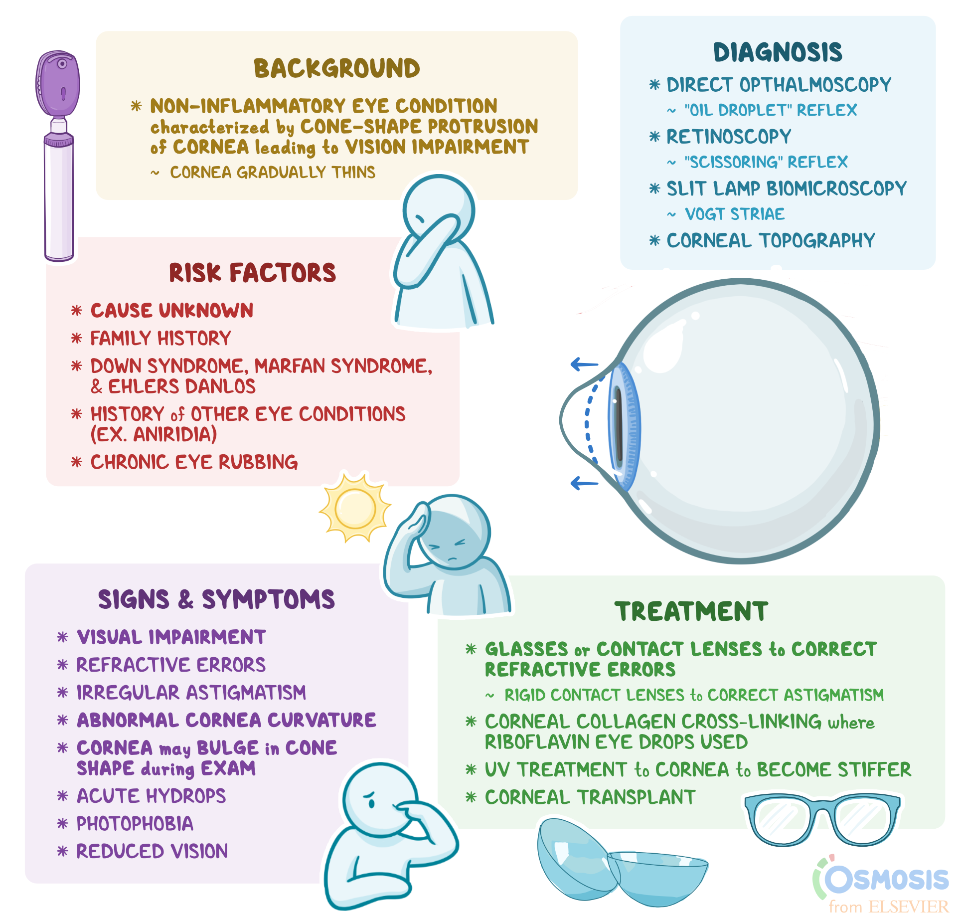 Keratoconus What Is It Causes And More Osmosis