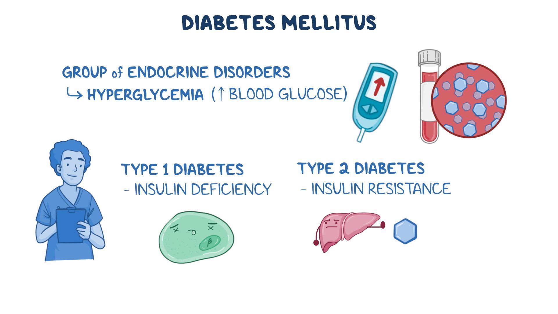 Video: Diabetes mellitus: Nursing pathophysiology | Osmosis