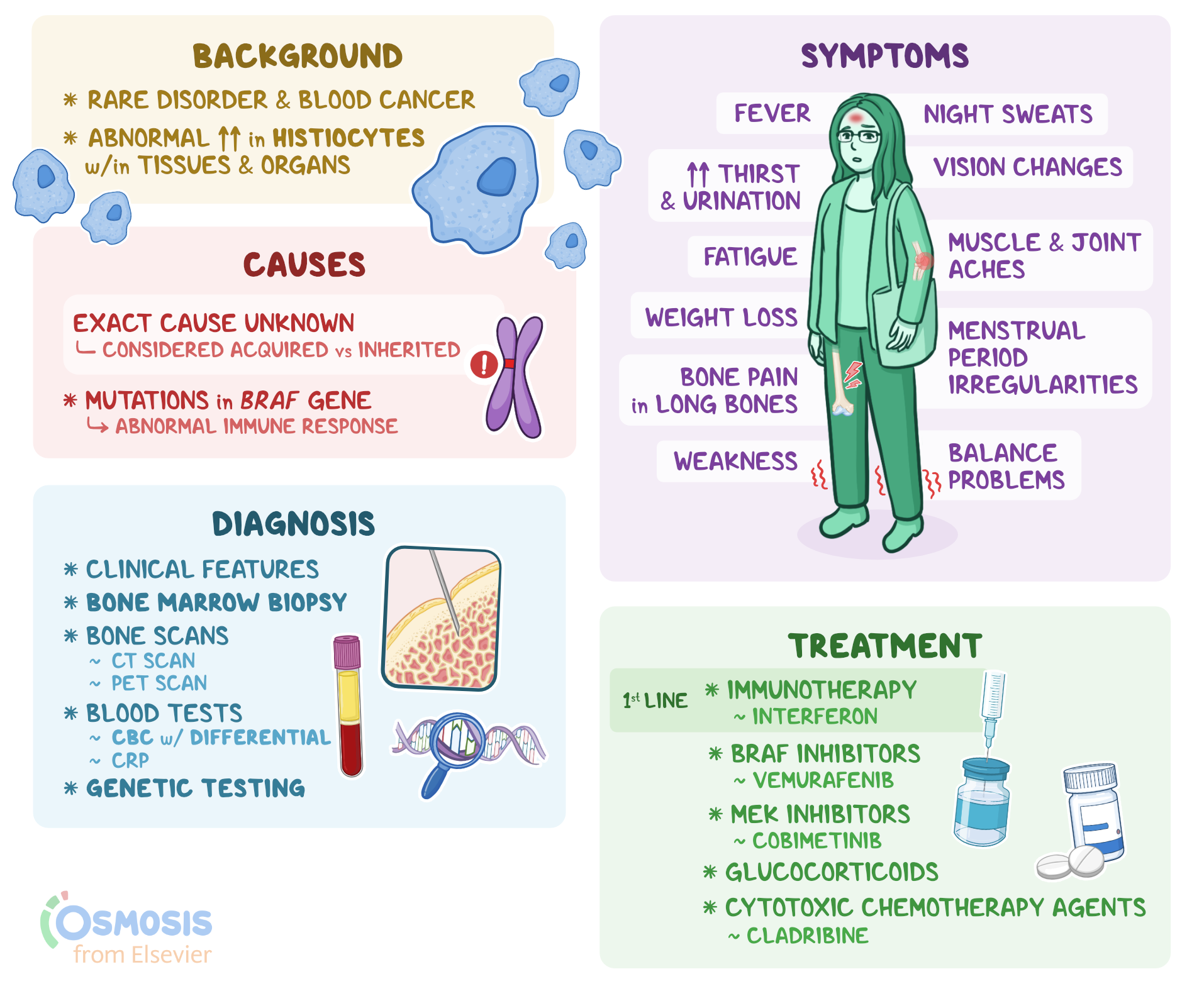 Erdheim-Chester Disease: What It Is, Causes, Symptoms, and More | Osmosis