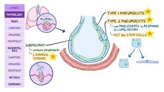 Dyspnea: What Is It, Pronunciation, Causes, Assessment, Treatment, and ...