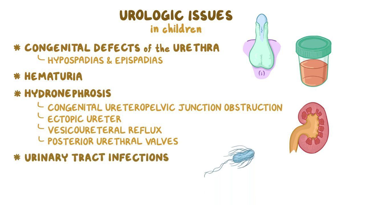 Video: Pediatric urological conditions: Clinical | Osmosis