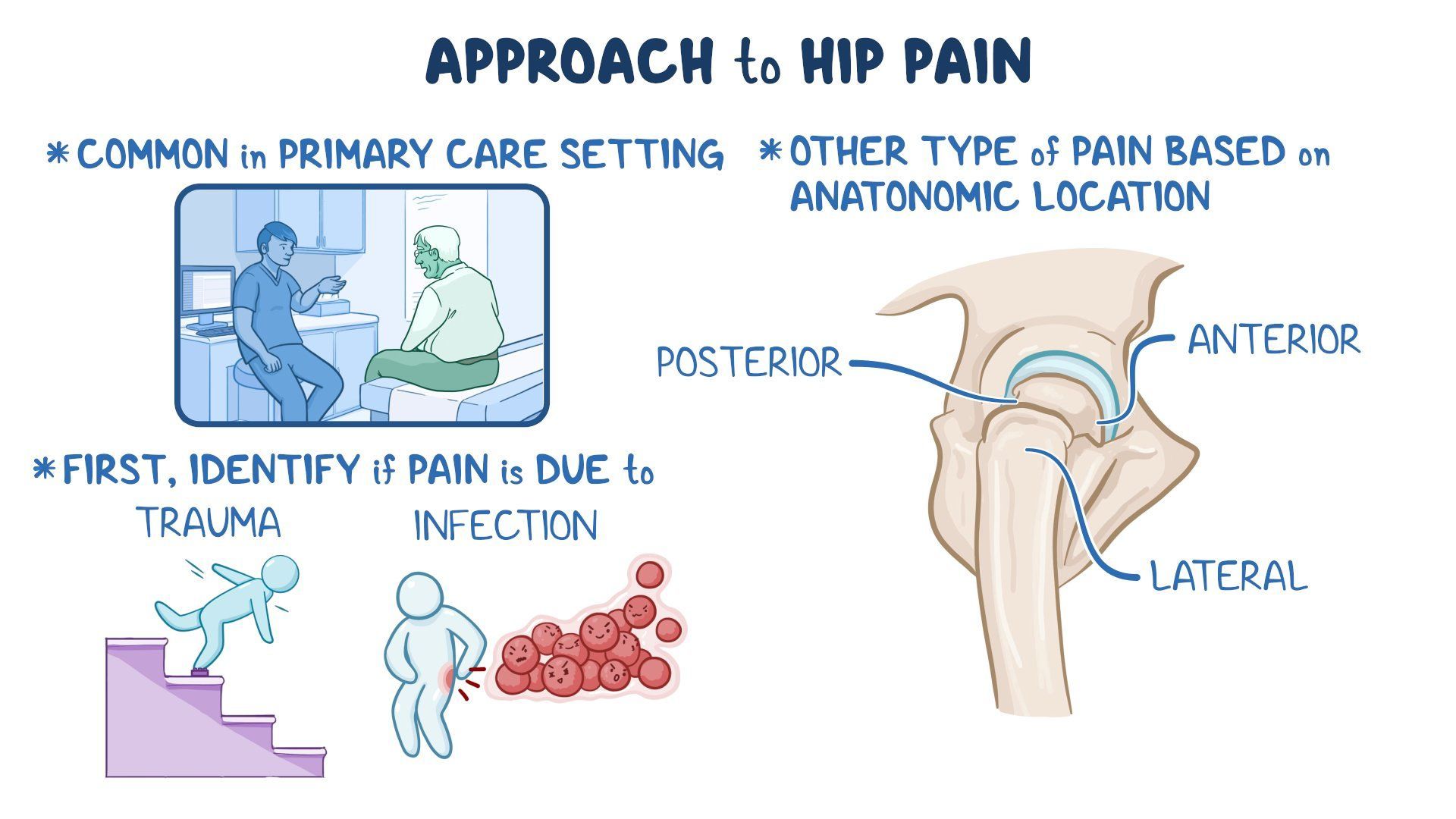 Video: Approach to hip pain: Clinical sciences