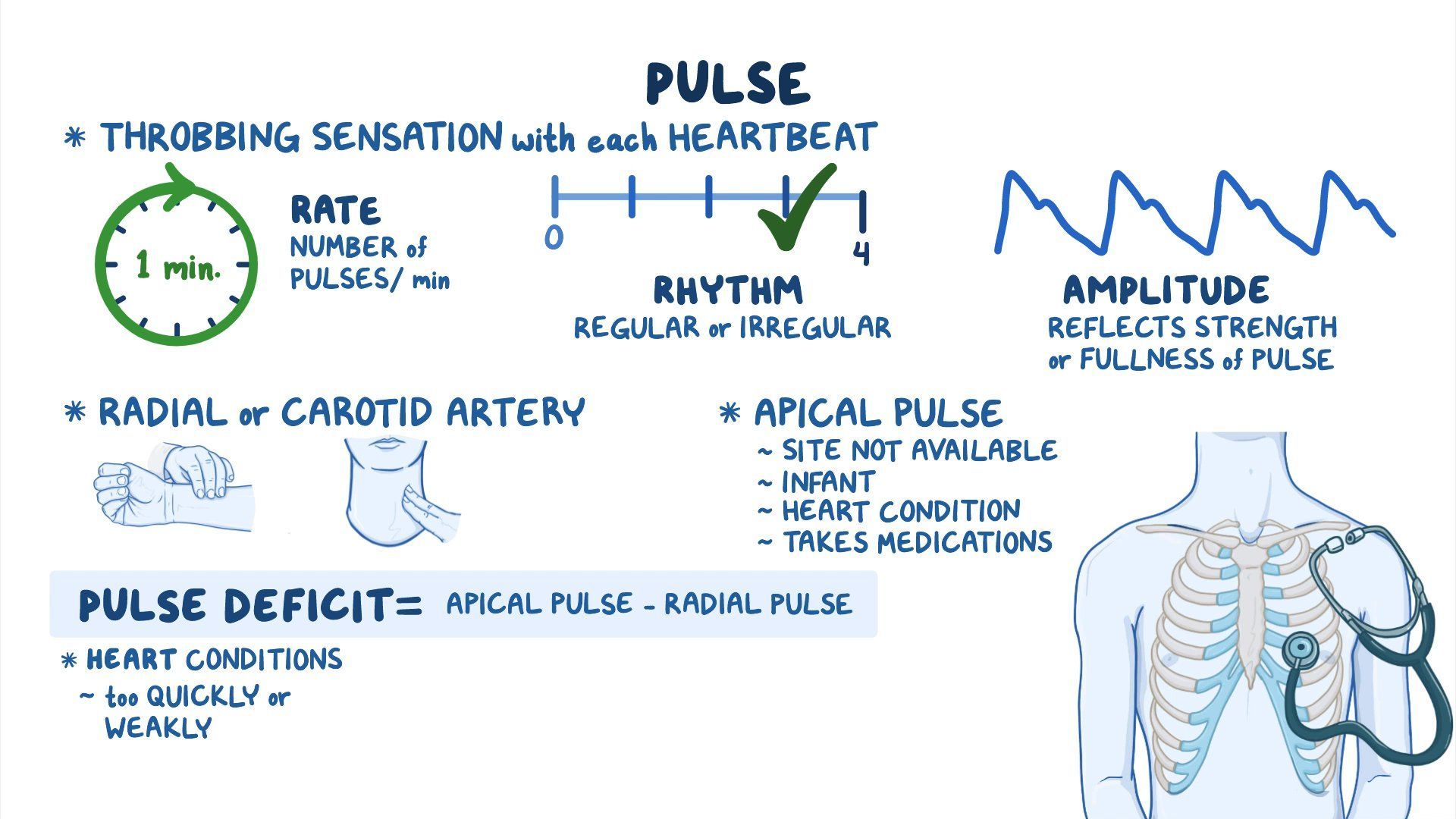 Video Vital Signs Pulse Nursing Skills Osmosis Video Vital Signs Pulse Nursing Skills Osmosis