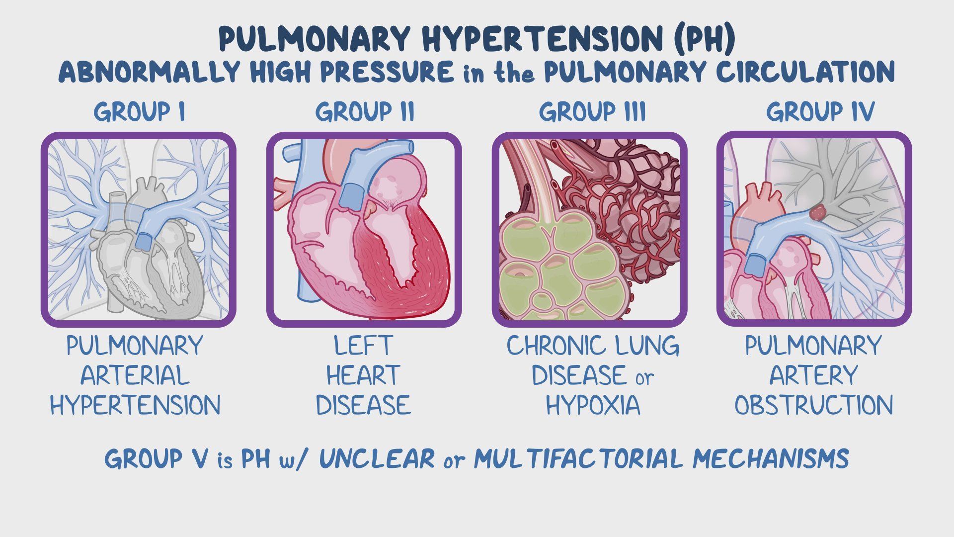 Video: Pulmonary hypertension: Clinical sciences | Osmosis