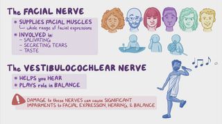 Ramsay Hunt Syndrome: What Is It, Causes, Treatment, and More | Osmosis