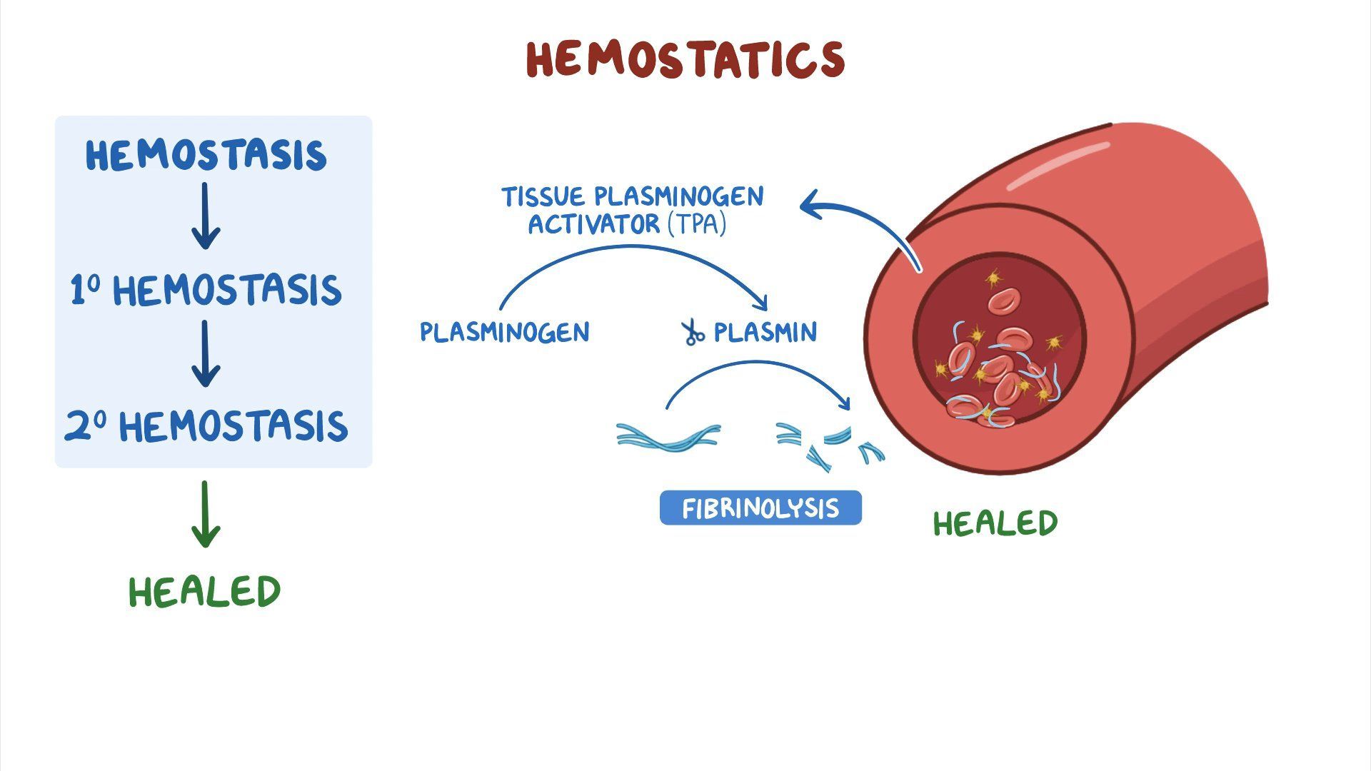 Video: Hemostatics: Nursing pharmacology