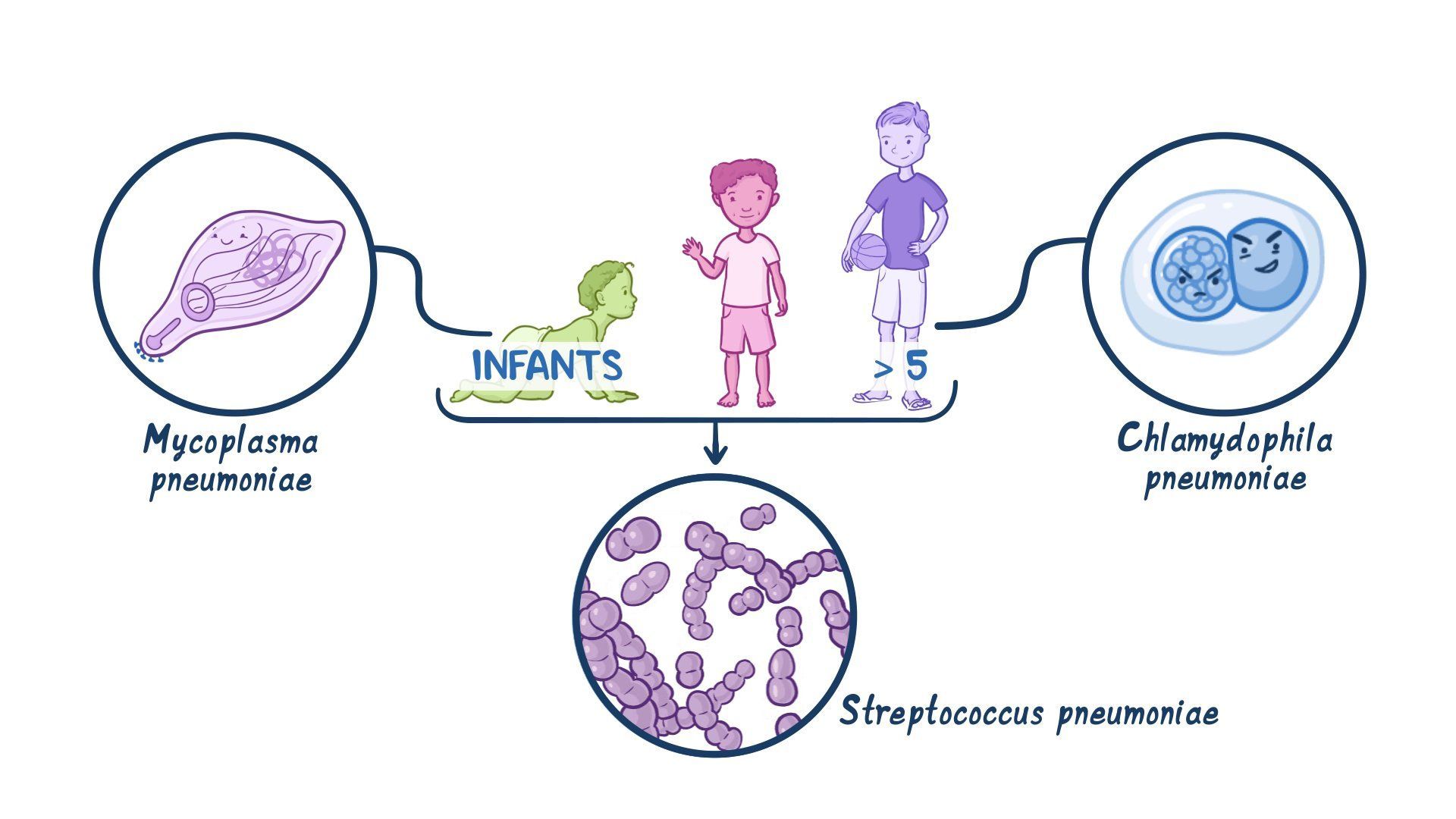 Video: Pneumonia (pediatrics): Clinical sciences | Osmosis
