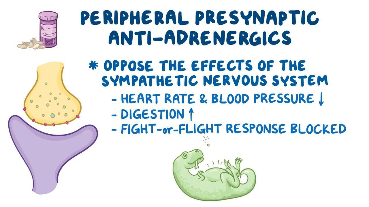 Video: Adrenergic antagonists: Presynaptic | Osmosis