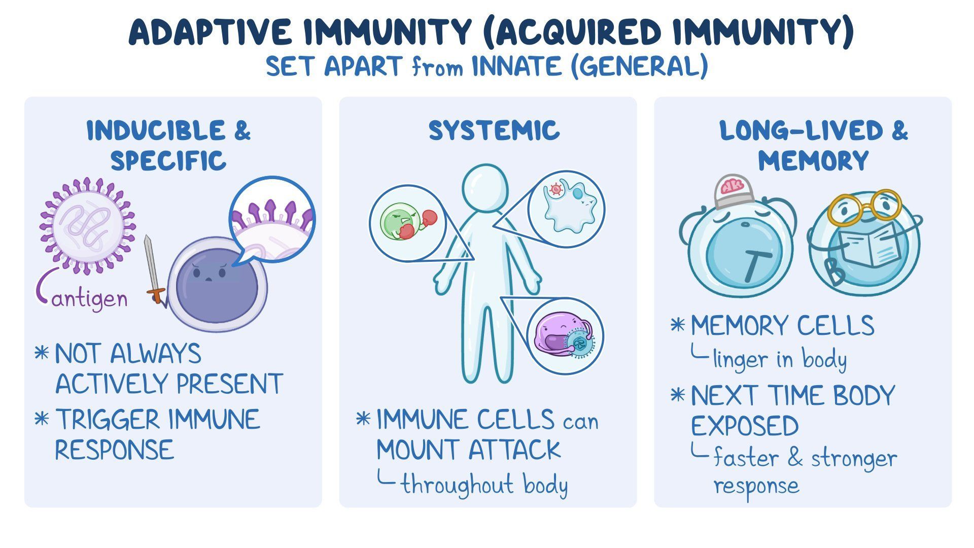Video: Adaptive immunity mechanisms: Nursing pathophysiology | Osmosis