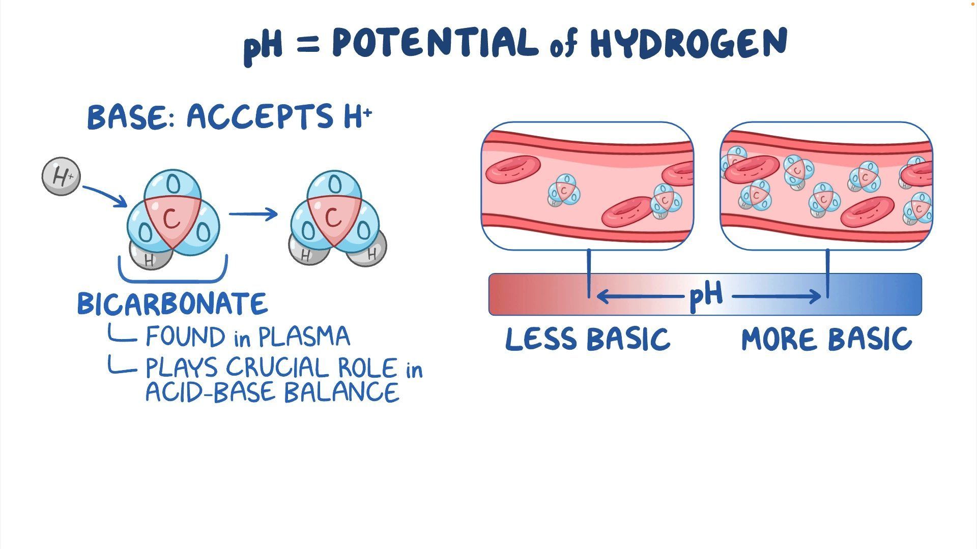 Video: Acid-base balance - Overview: Nursing | Osmosis