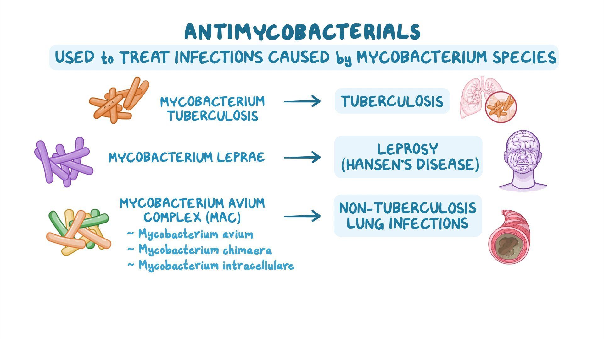 Video: Antibiotics - Antimycobacterials: Nursing pharmacology | Osmosis