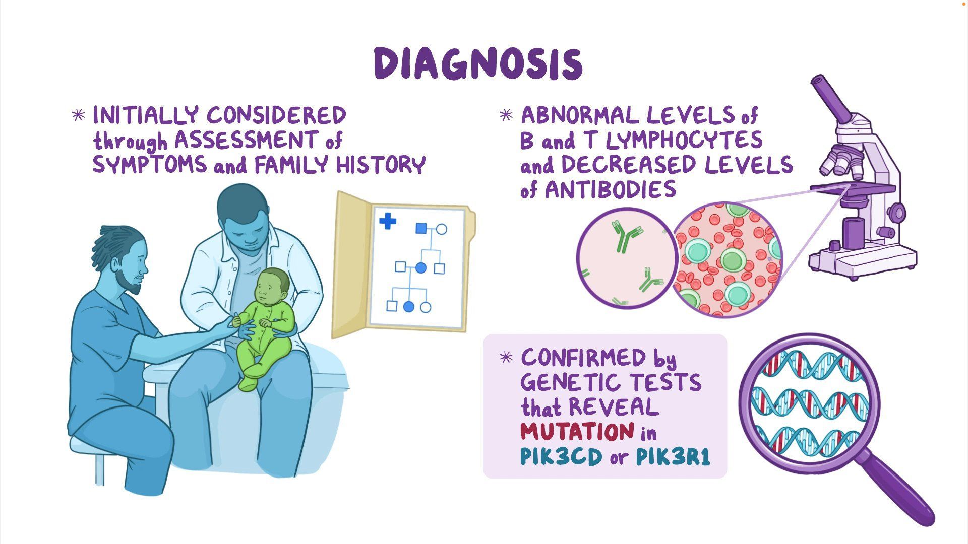Video: Activated Phosphoinositide 3-Kinase Delta Syndrome, APDS (NORD ...