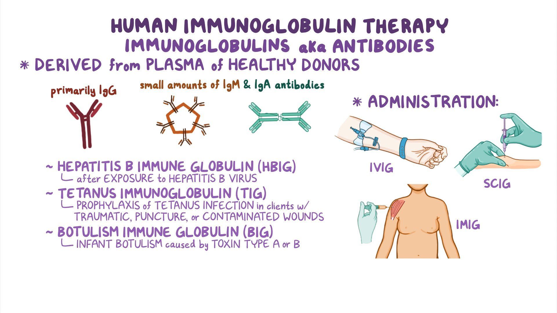 Video Immunoglobulins Nursing Pharmacology Osmosis