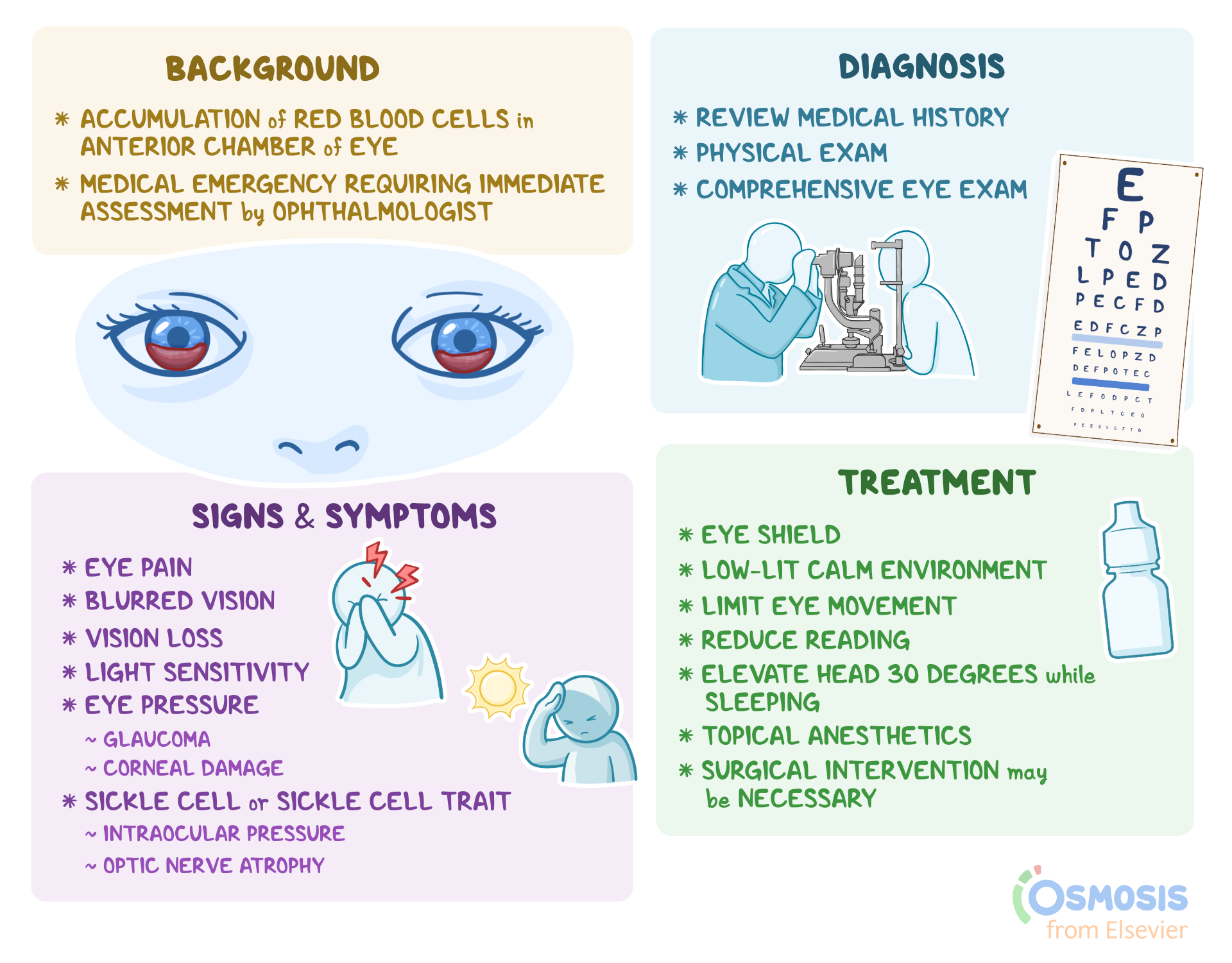 Hyphema: What Is It, Causes, Symptoms, and More | Osmosis