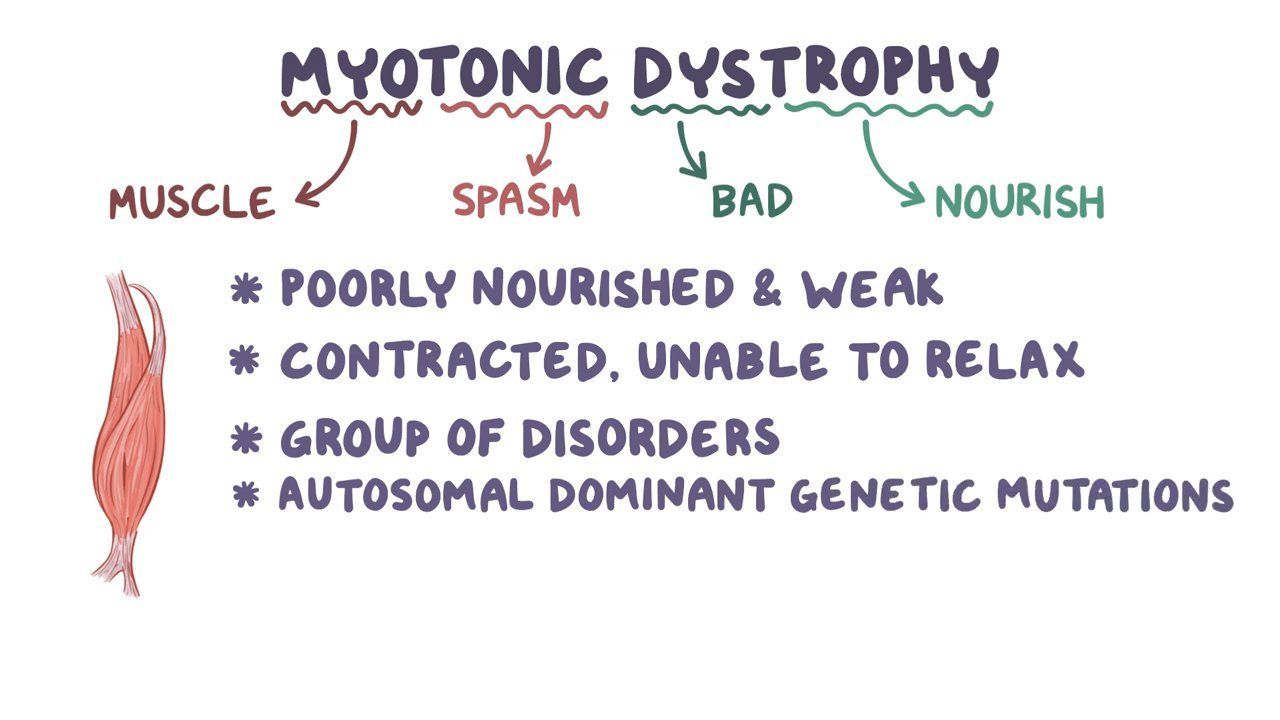 Video: Myotonic dystrophy | Osmosis